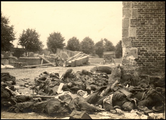 site région namuroise dramatique hécatombe – La Guerre de nos Héros